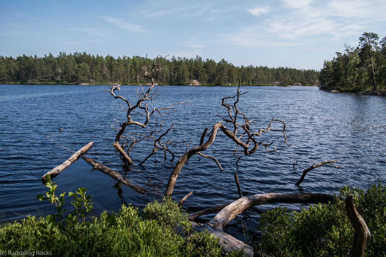 Ein Besuch im Urwald bei Stockholm: Der Tyresta Nationalpark