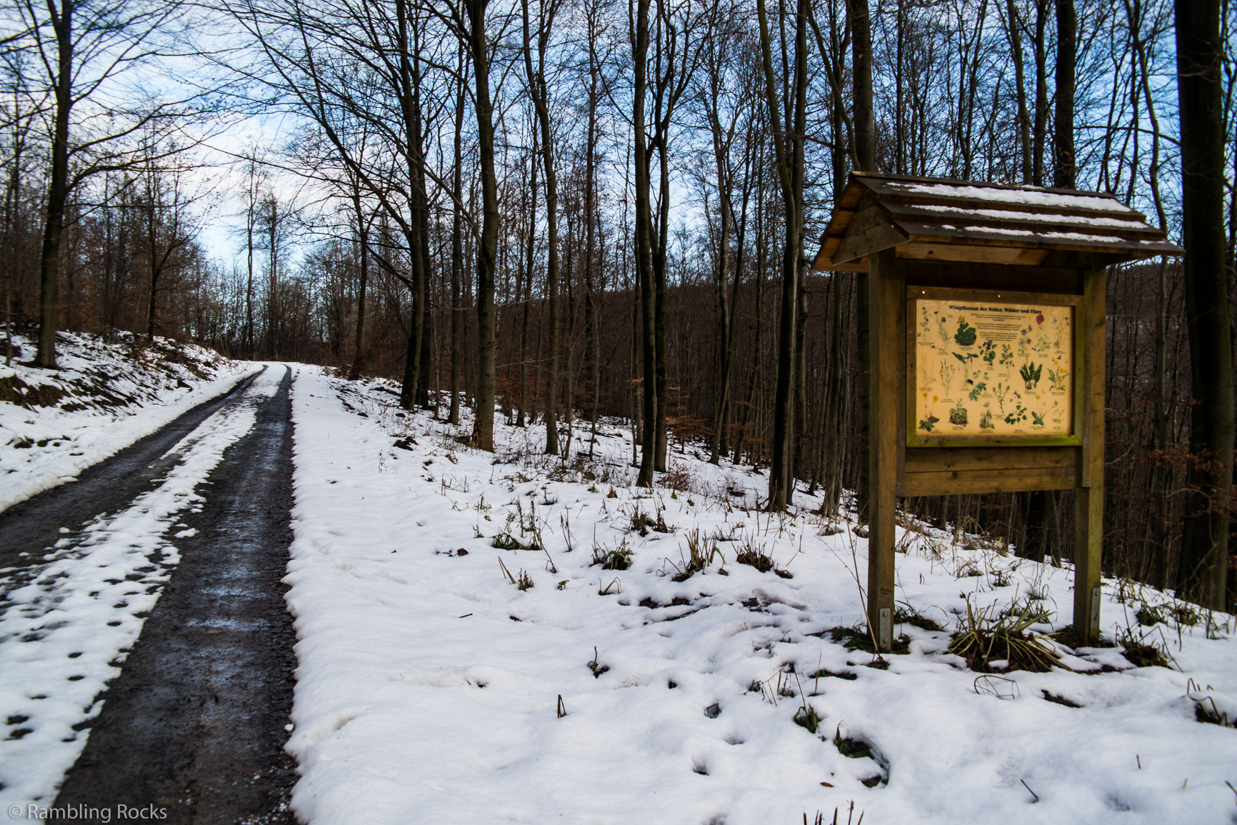 Stempeljagd auf dem Deister (Winter-Edition) - Rambling Rocks
