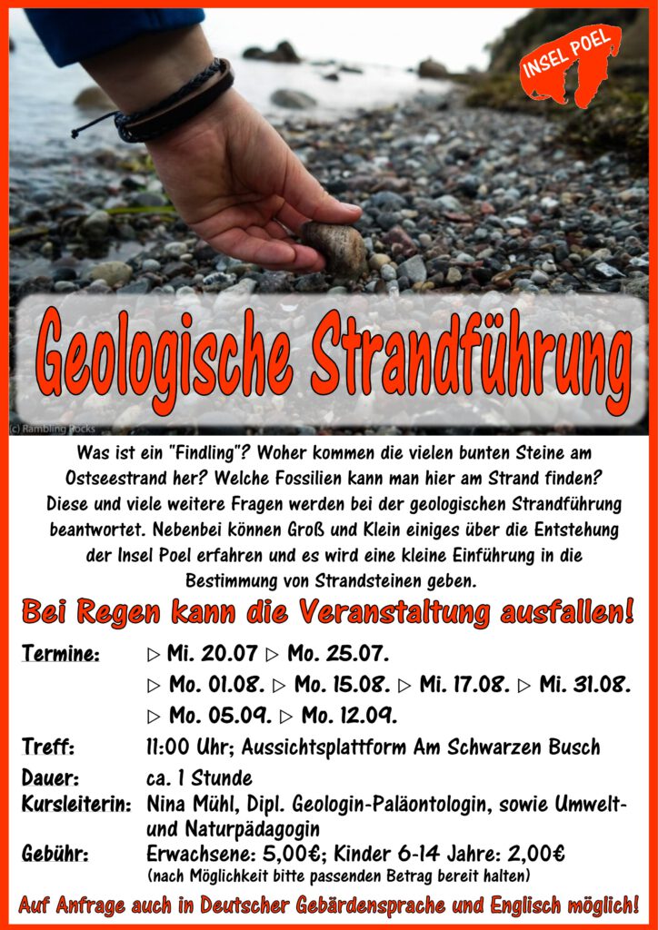 Fossilien der Insel Poel – Eine kleine Einführung - Rambling Rocks