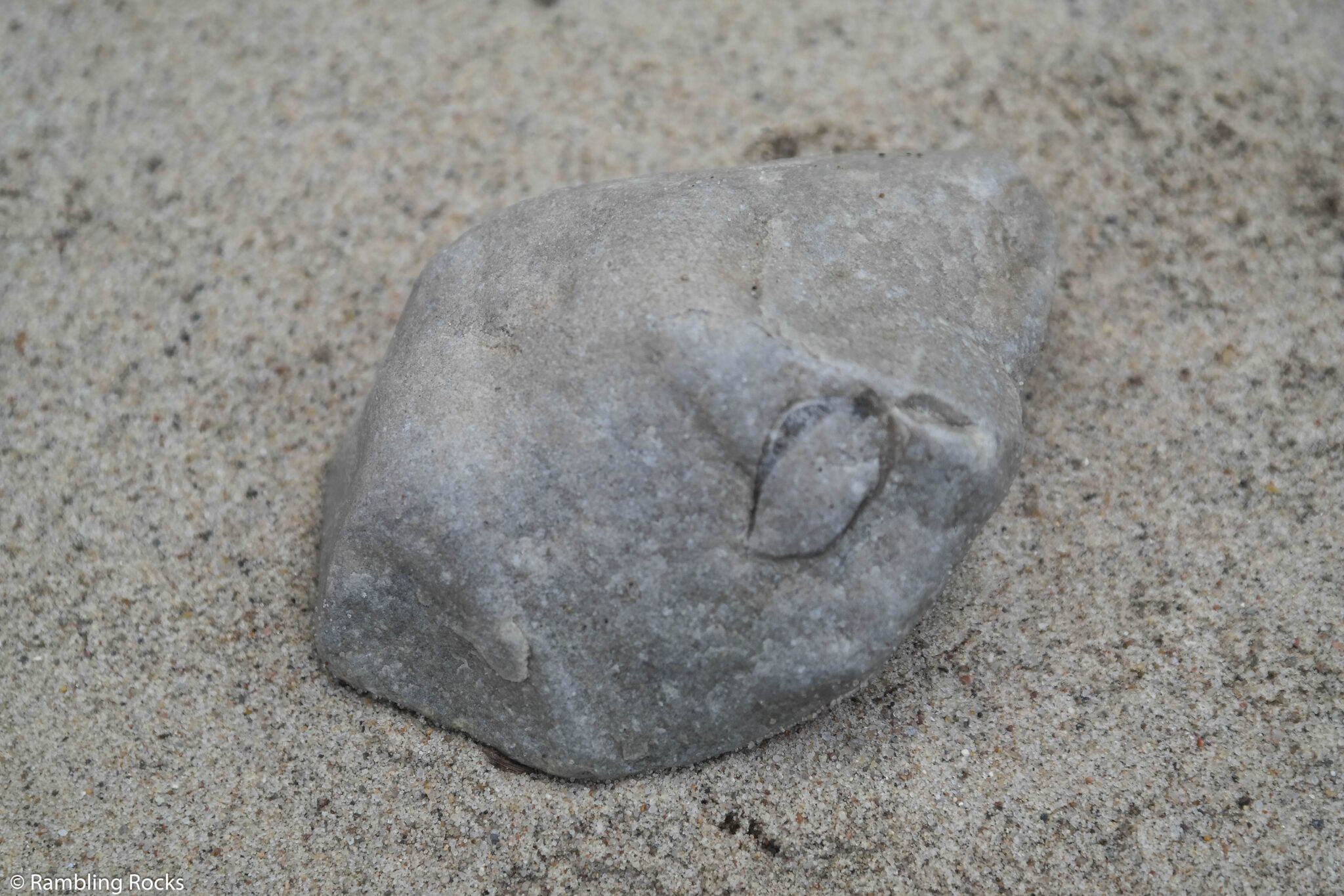 10 Gesteine, die du (fast immer) an der Ostseeküste findest